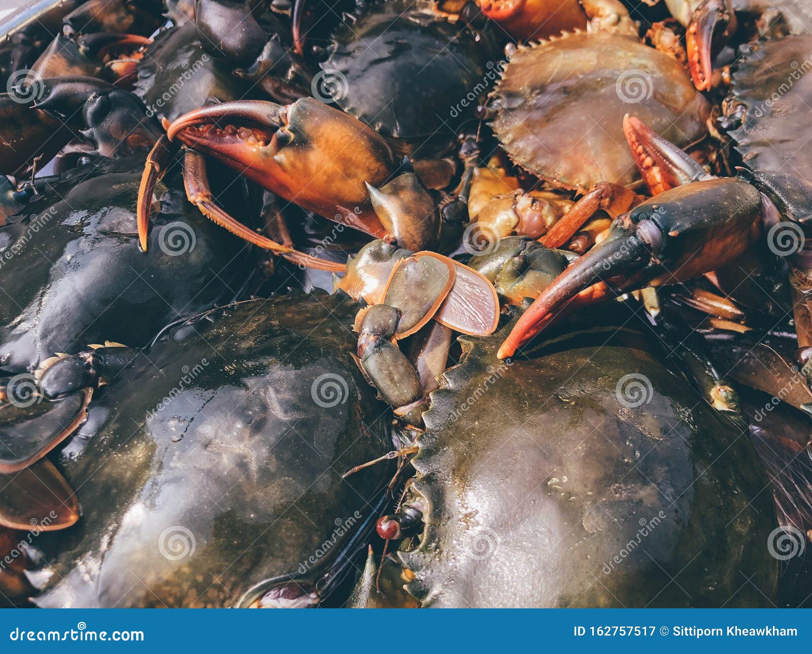 Top View of the Crab on the Seafood Tray Stock Image - Image of dinner ...
