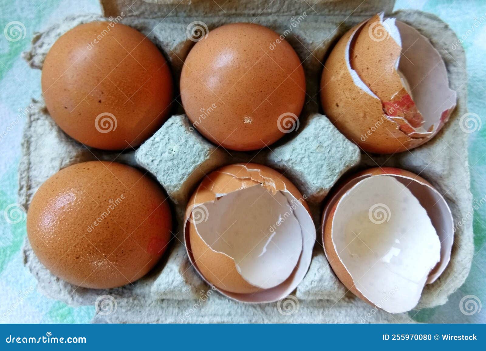 Top View of Cracked Eggs in the Carton Stock Photo - Image of ...