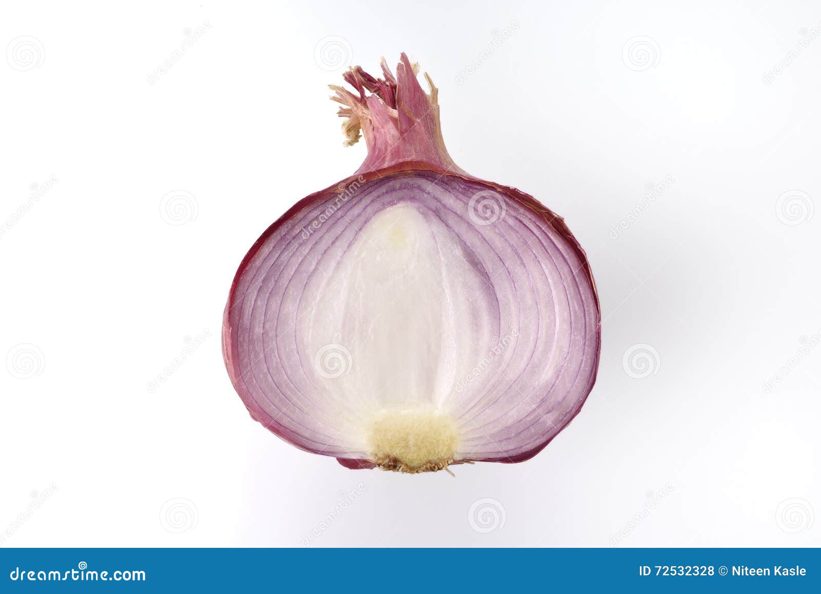 Top View Of Cross Section Of Onion Stock Photography | CartoonDealer ...