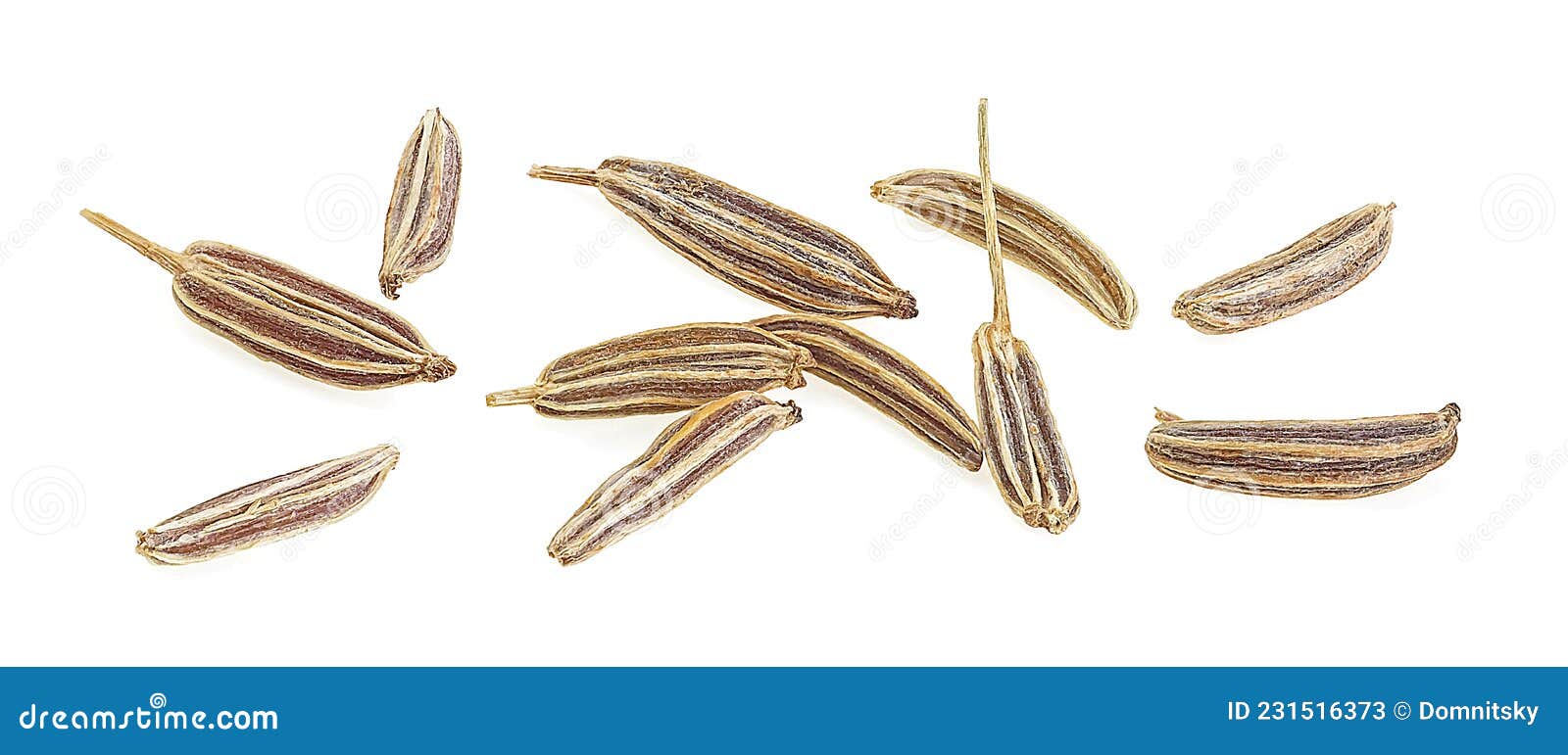 Top View of Cumin Seeds Isolated on White Background, Macro. Dried ...