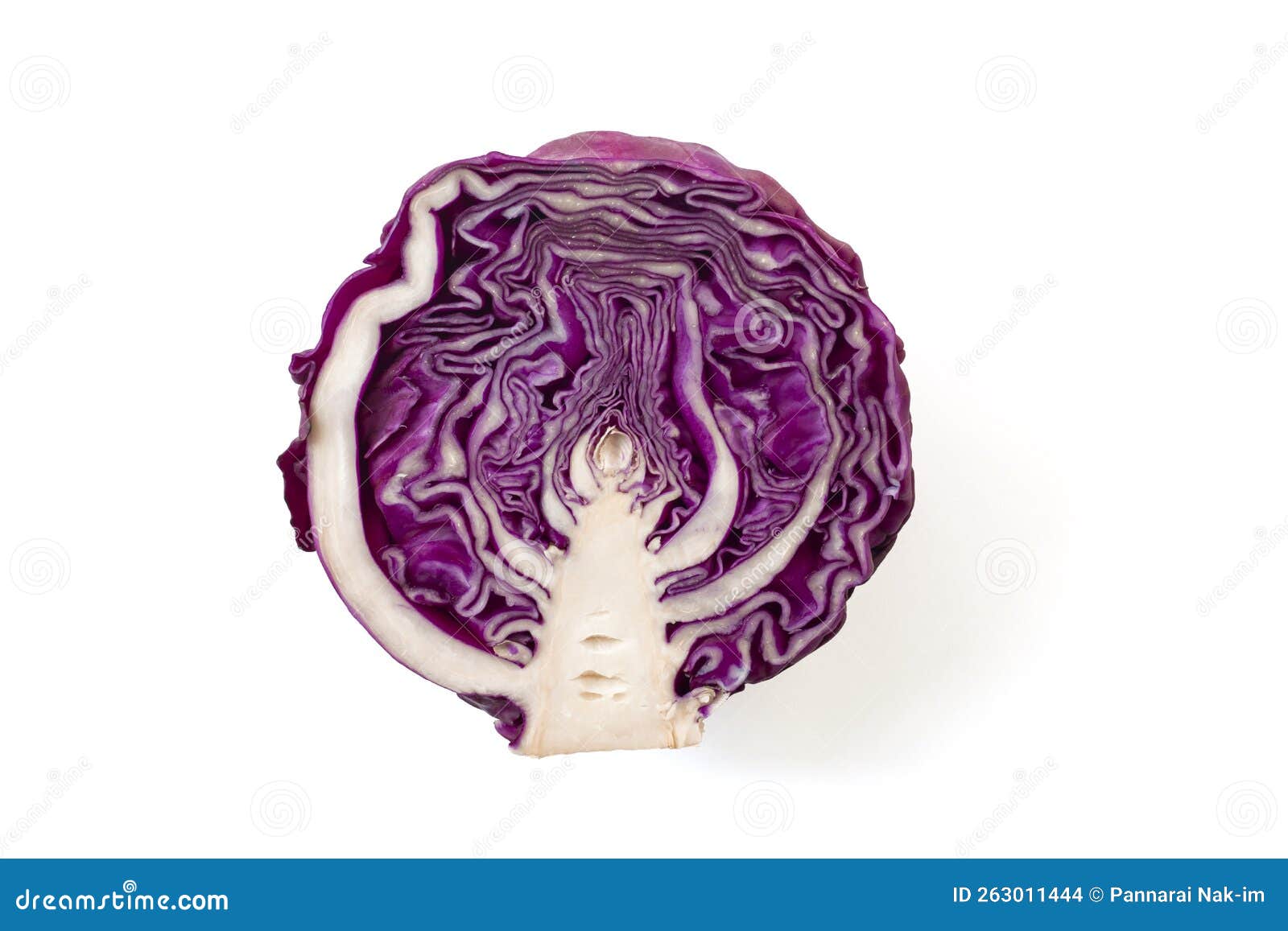 Top View Cut in Half of Purple Cabbage Isolated on White Background ...