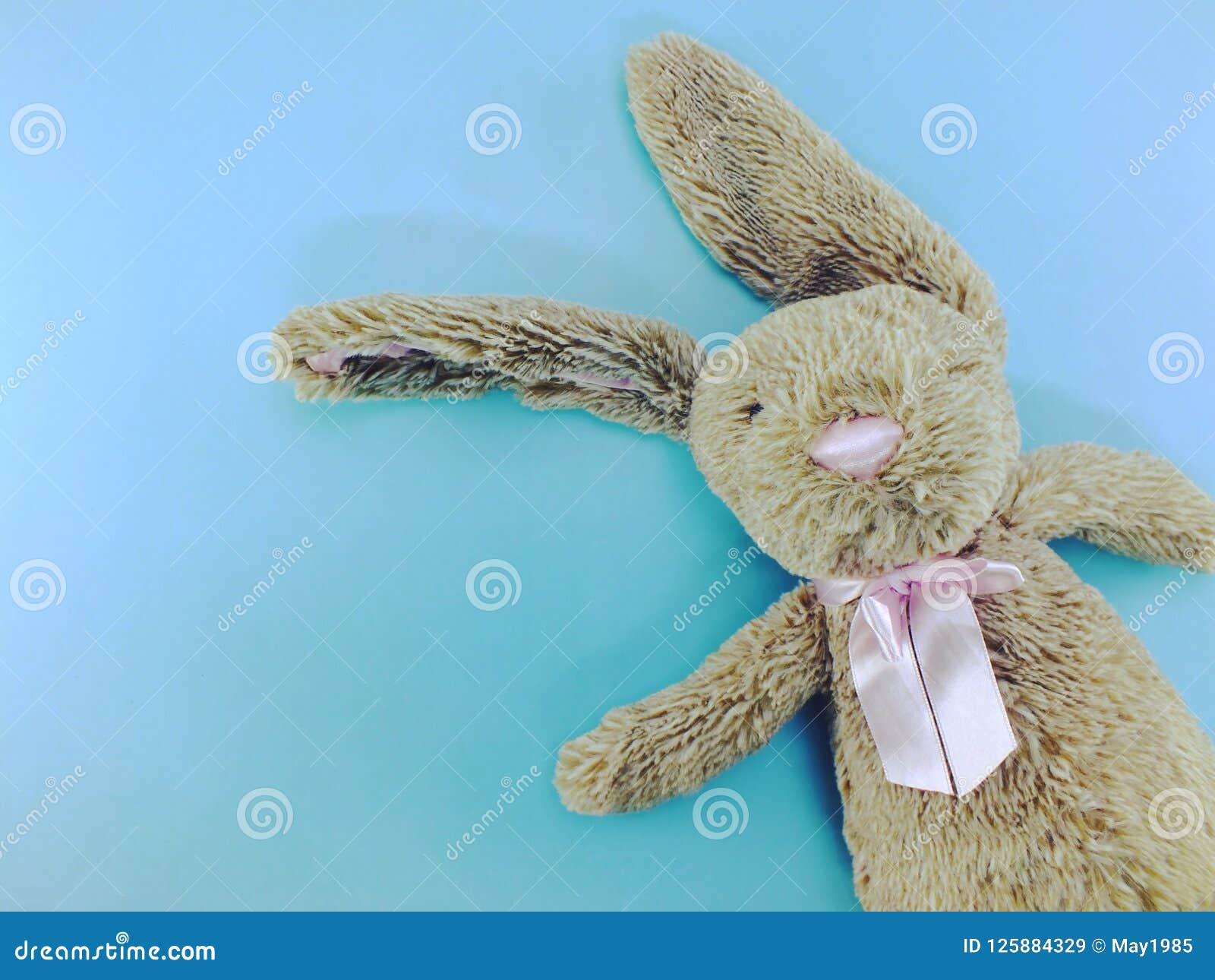 Cute Rabbit Doll with Space Copy Background Stock Image - Image of ...