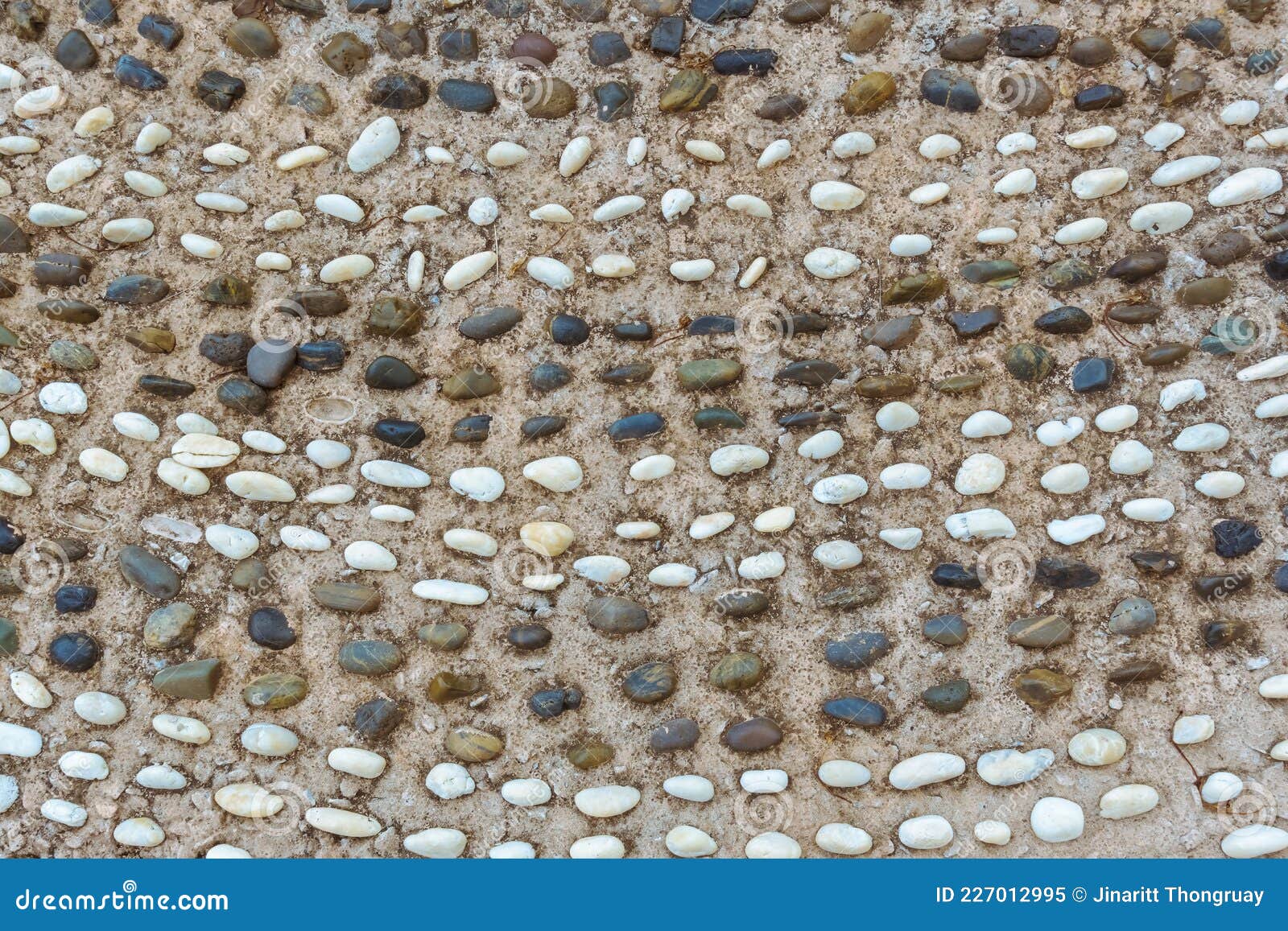 Pebbles Pathway Pattern In Concrete, Background Of Floor Tiles Stock ...