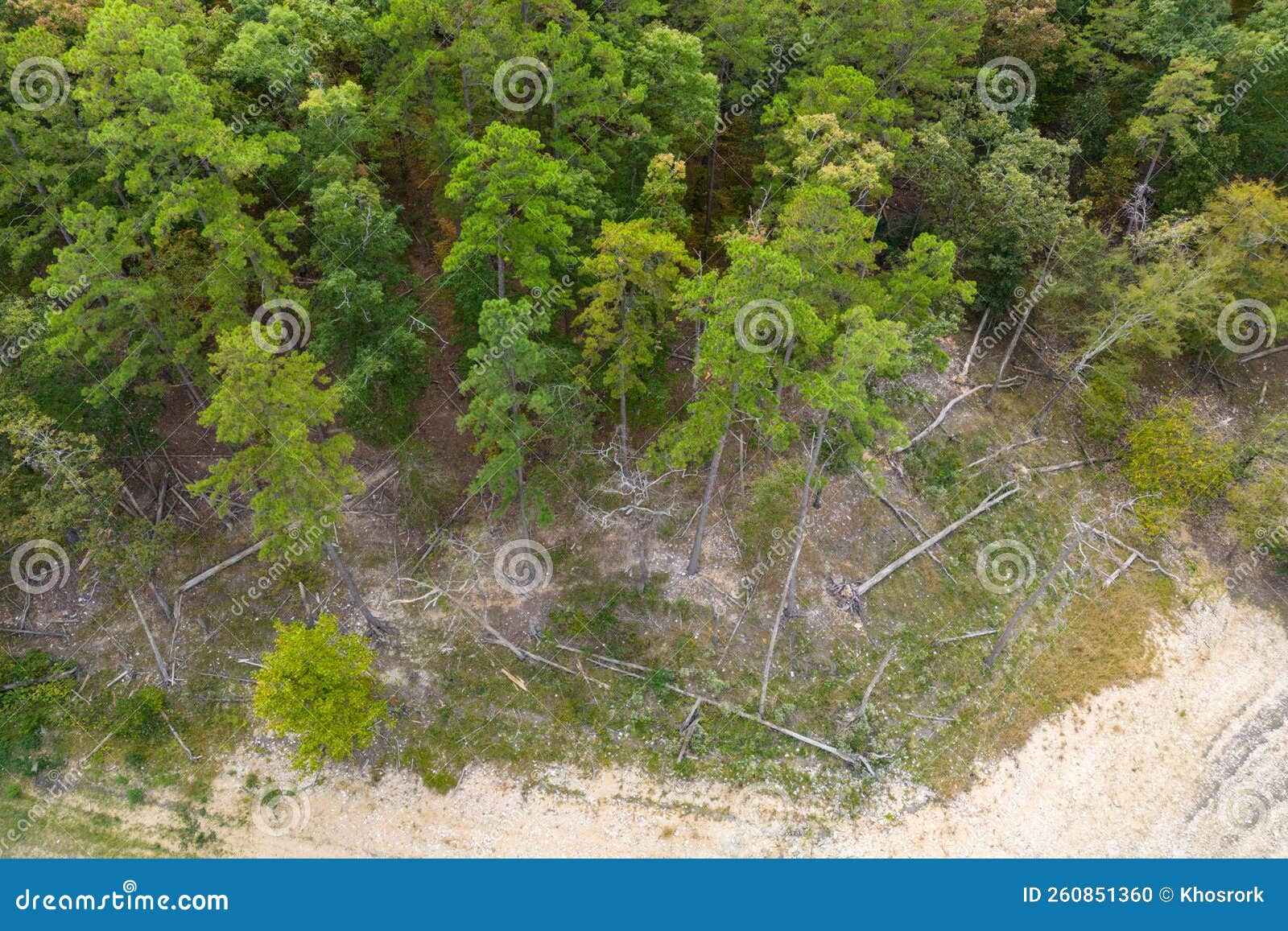 Top View of Deep Wild Forest with Deadfall in Broken Bow, Oklahoma, USA ...