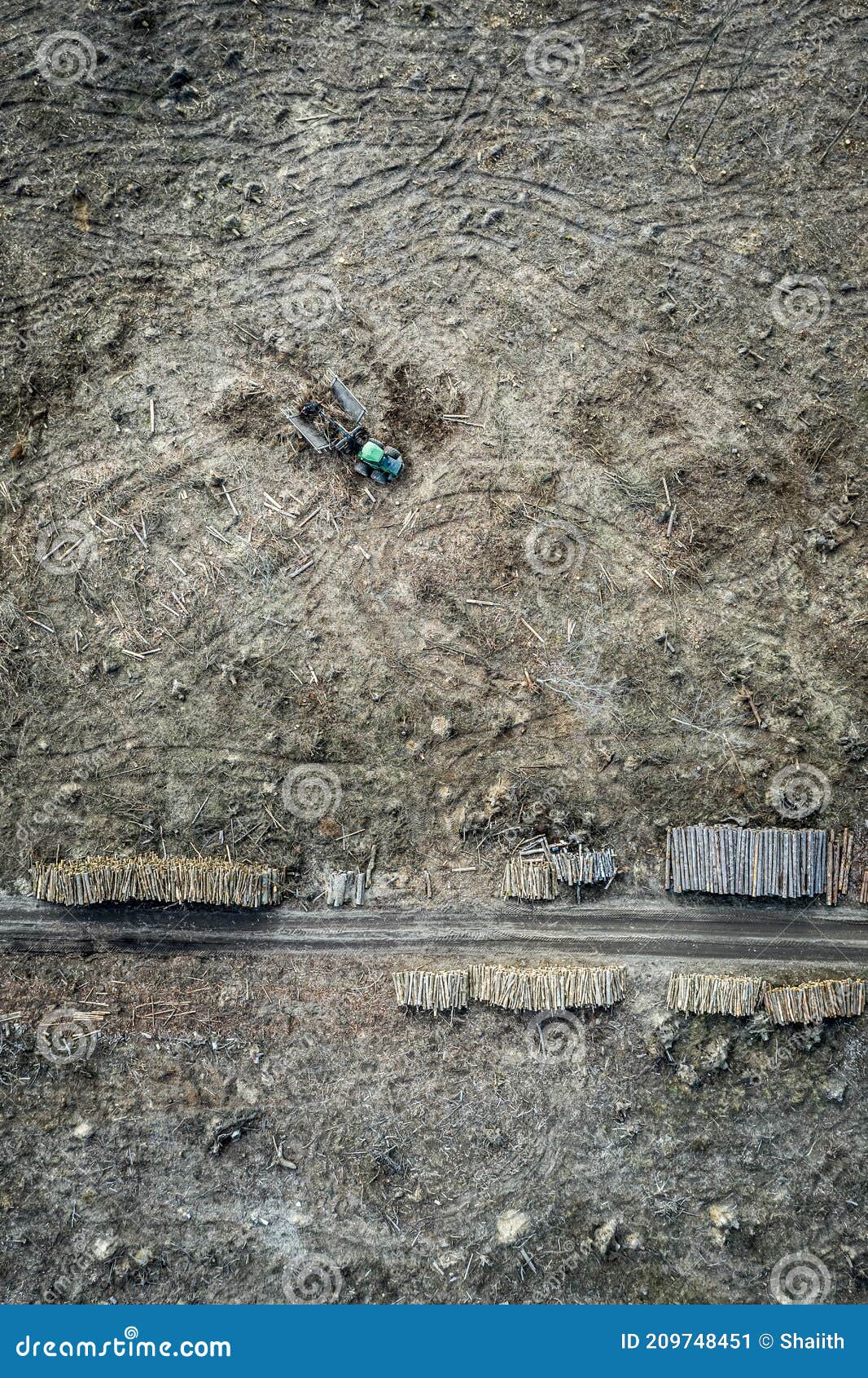 Top View of Deforestation, Destroyed Forest for Harvesting Stock Image ...