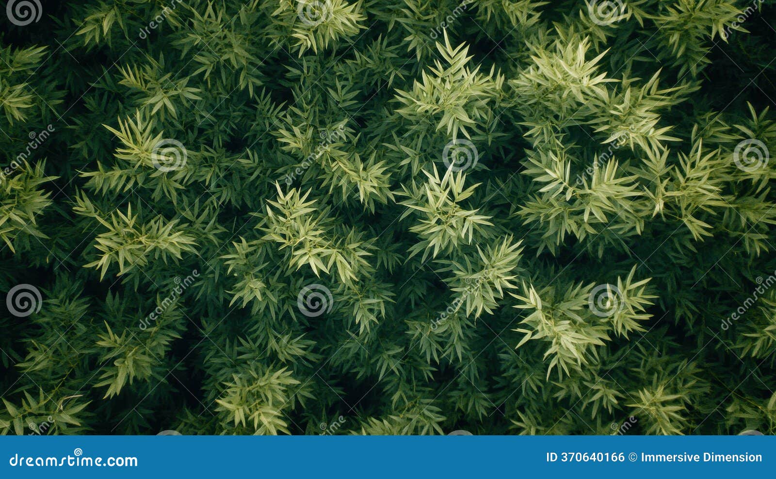 Natural Canopy - Oil Painting Royalty-Free Stock Image | CartoonDealer ...