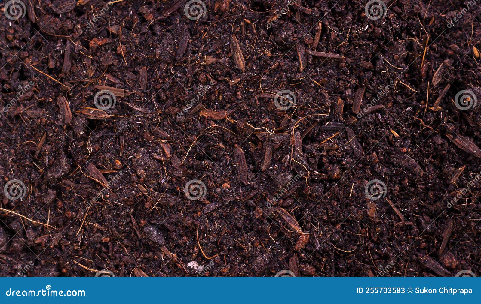 Top view of detail of soil stock image. Image of agriculture - 255703583