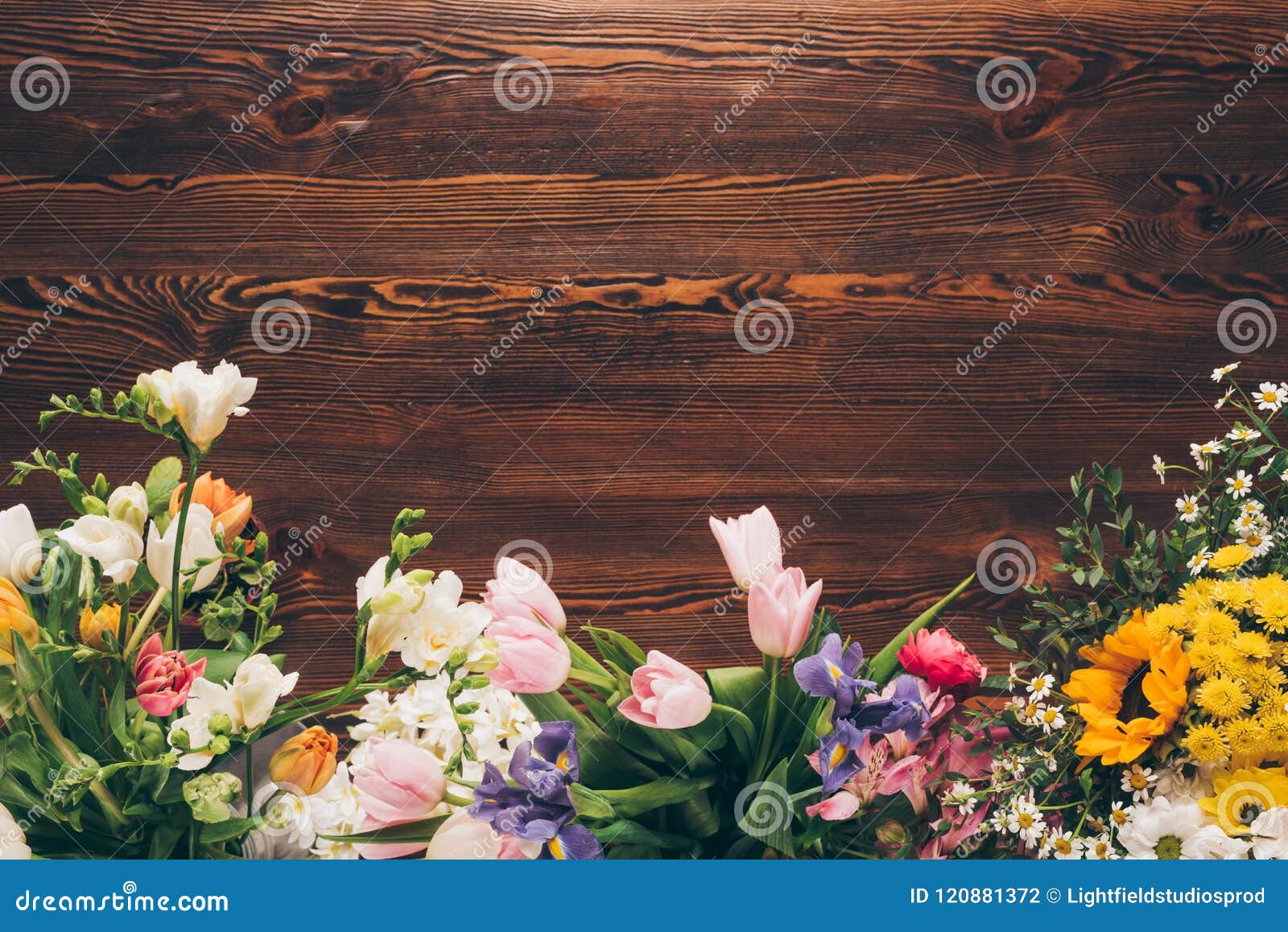 Top View of Different Colored Flowers on Table Stock Photo - Image of ...