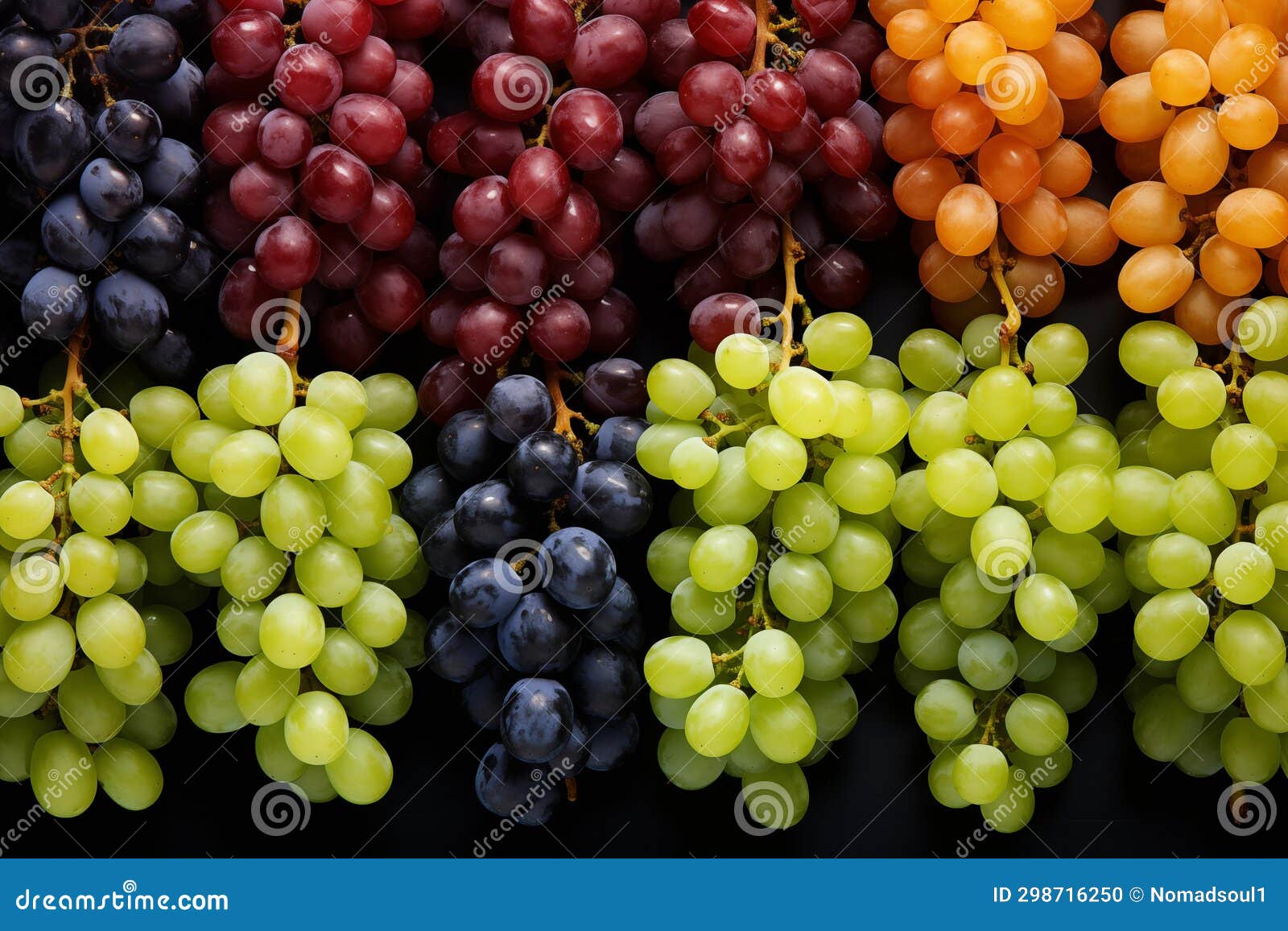 Top View of Different Grape Varieties. Generative AI Stock Photo ...