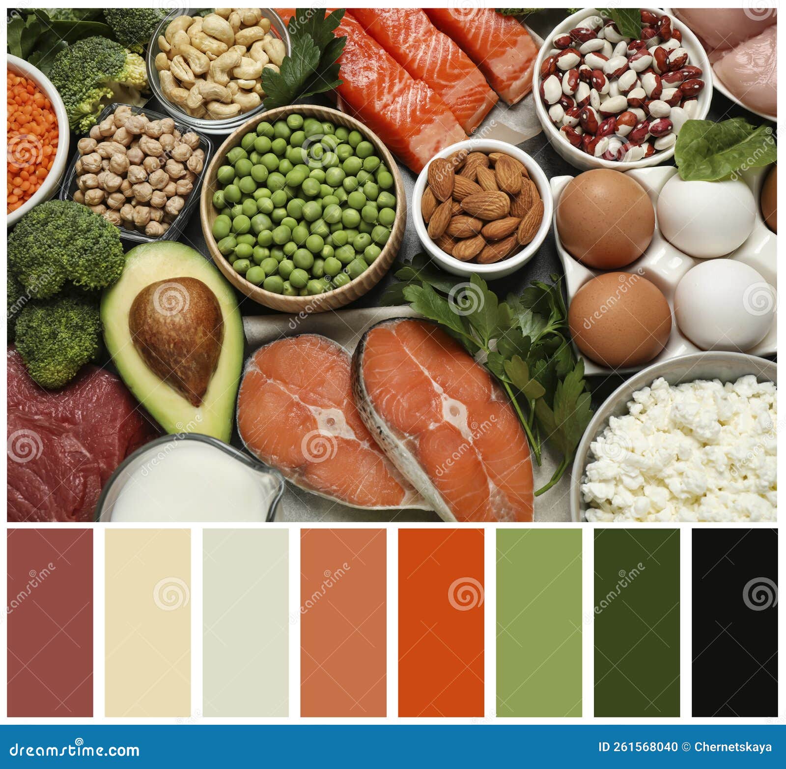 Top View of Different Products Rich in Protein and Color Palette ...