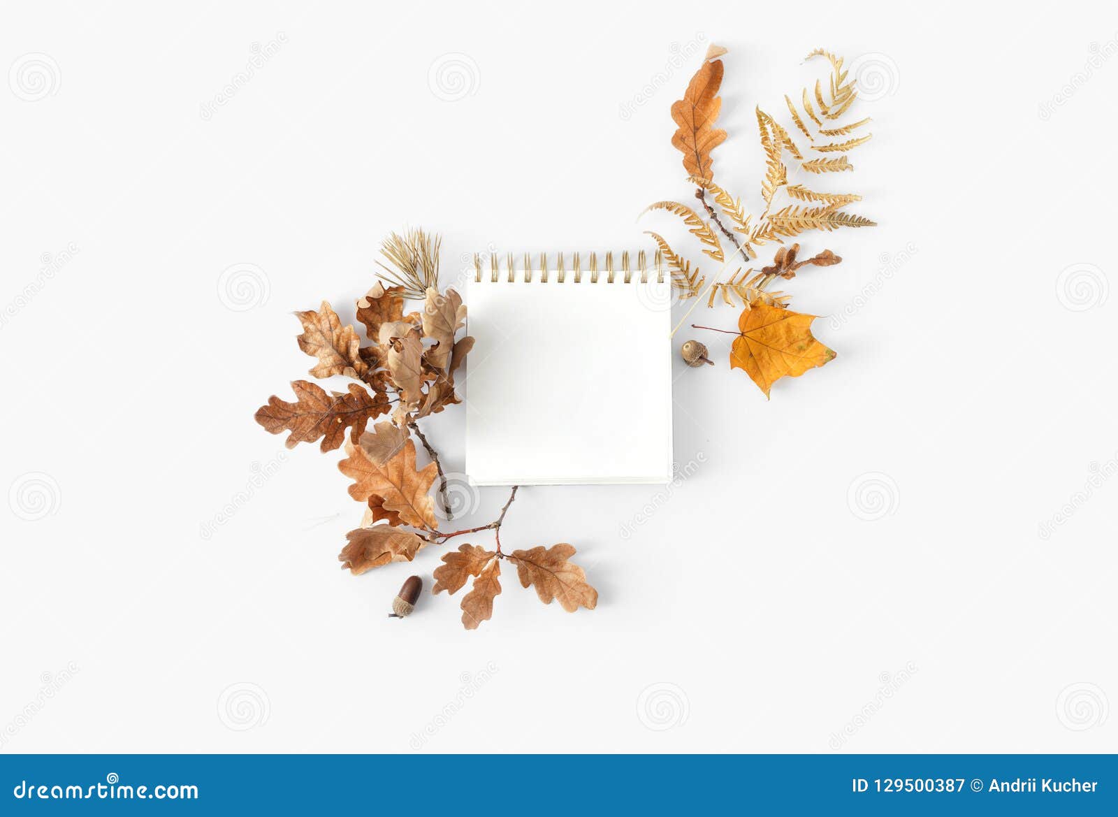 Top View Dried Leaves Notebook Blank Pages White Background Autumn Fall ...