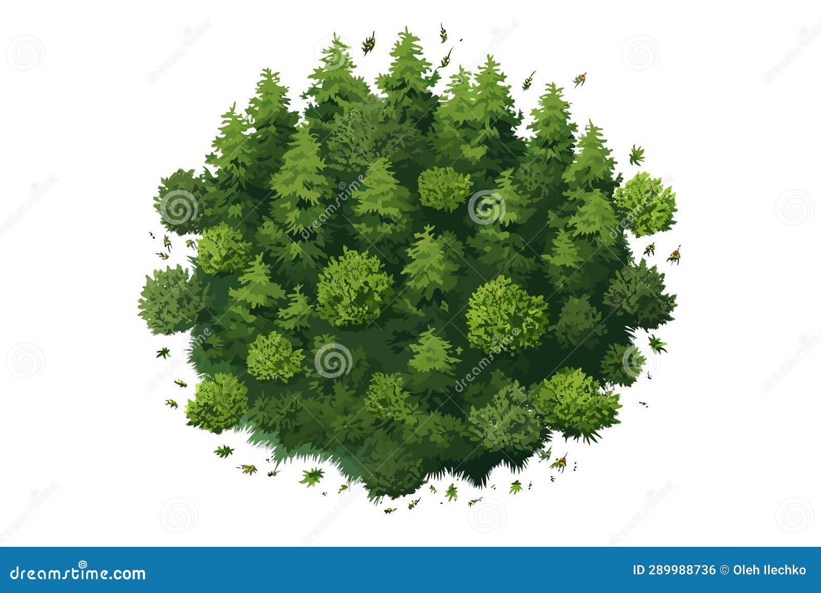 Top View Dron Shot of Forest Vector Flat Isolated Illustration Stock ...