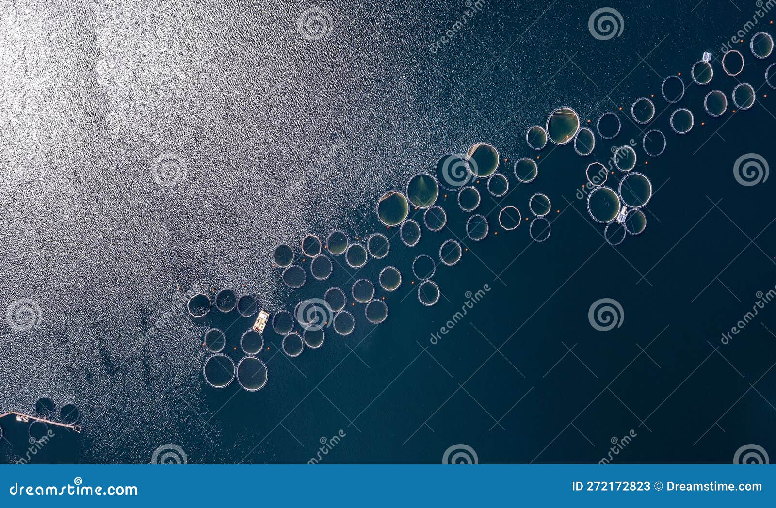 Top View from Drone of the Fish Farm Stock Image - Image of nature ...