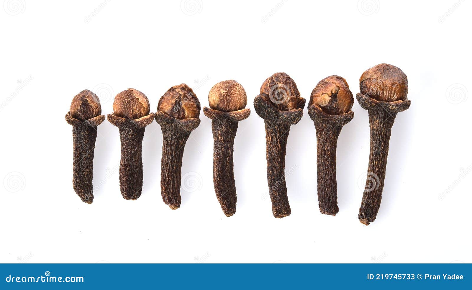 Top View of Dry Cloves Isolated on White Background Stock Image - Image ...