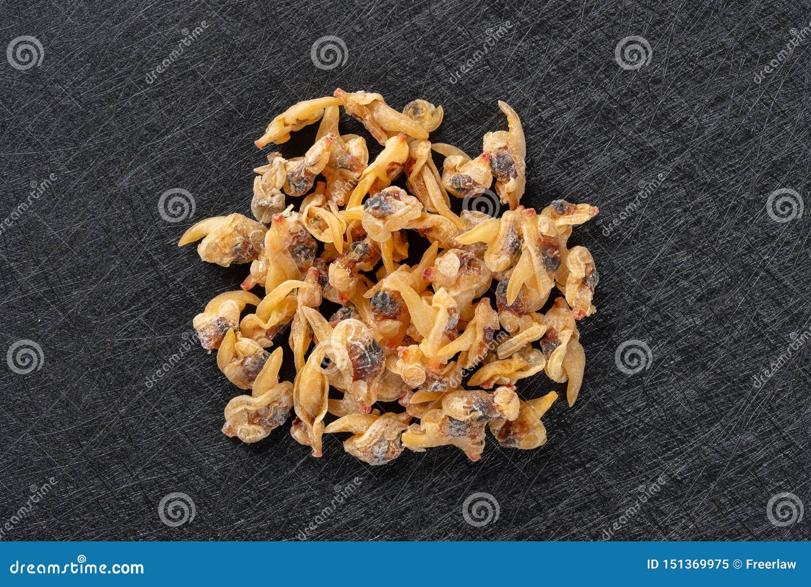Dry Conch Meat on Dark Background Stock Image - Image of snail, meat ...