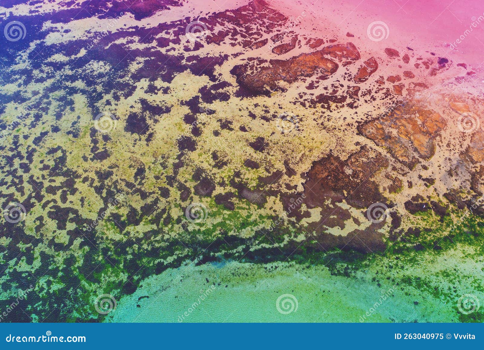 Top View of Dry Estuary. Land Texture Stock Image - Image of beauty ...