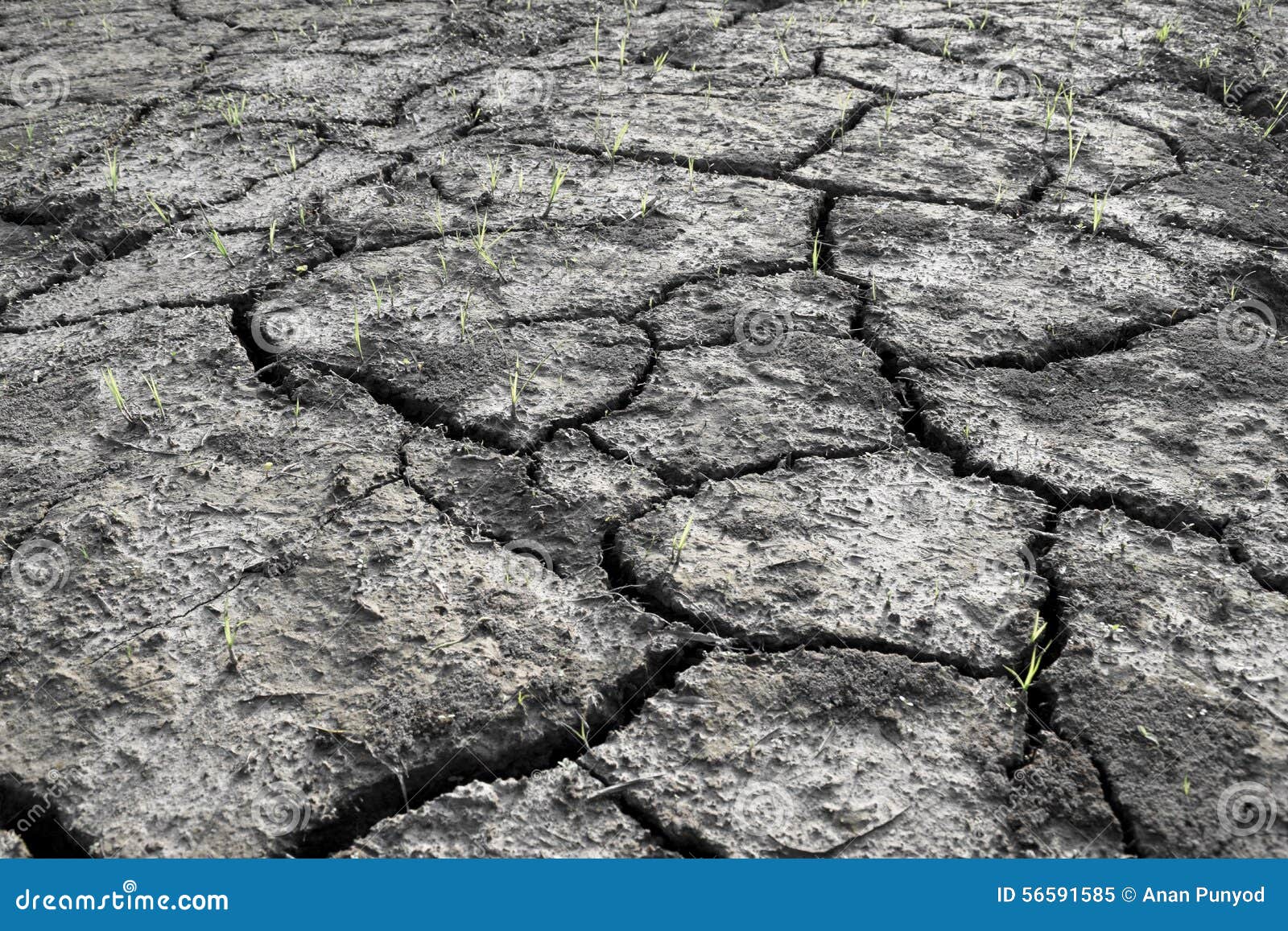 Top View Dry Soil is Rift Close Up Stock Image - Image of climate, clay ...