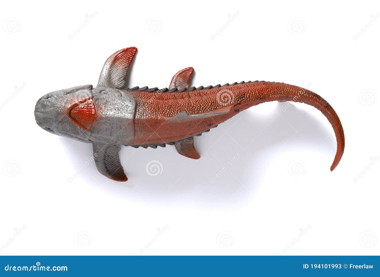 Dunkleosteus Terrelli Model on White Stock Image - Image of ...