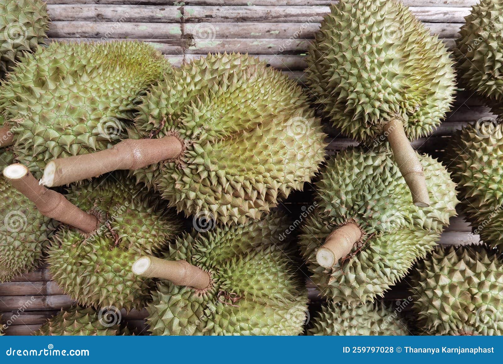 Top view of durian fruit stock photo. Image of healthy - 259797028