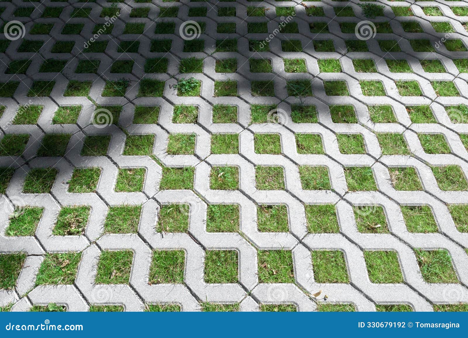 Eco-friendly Car Parking Of Concrete Cells And Turf Grass. Car On A ...