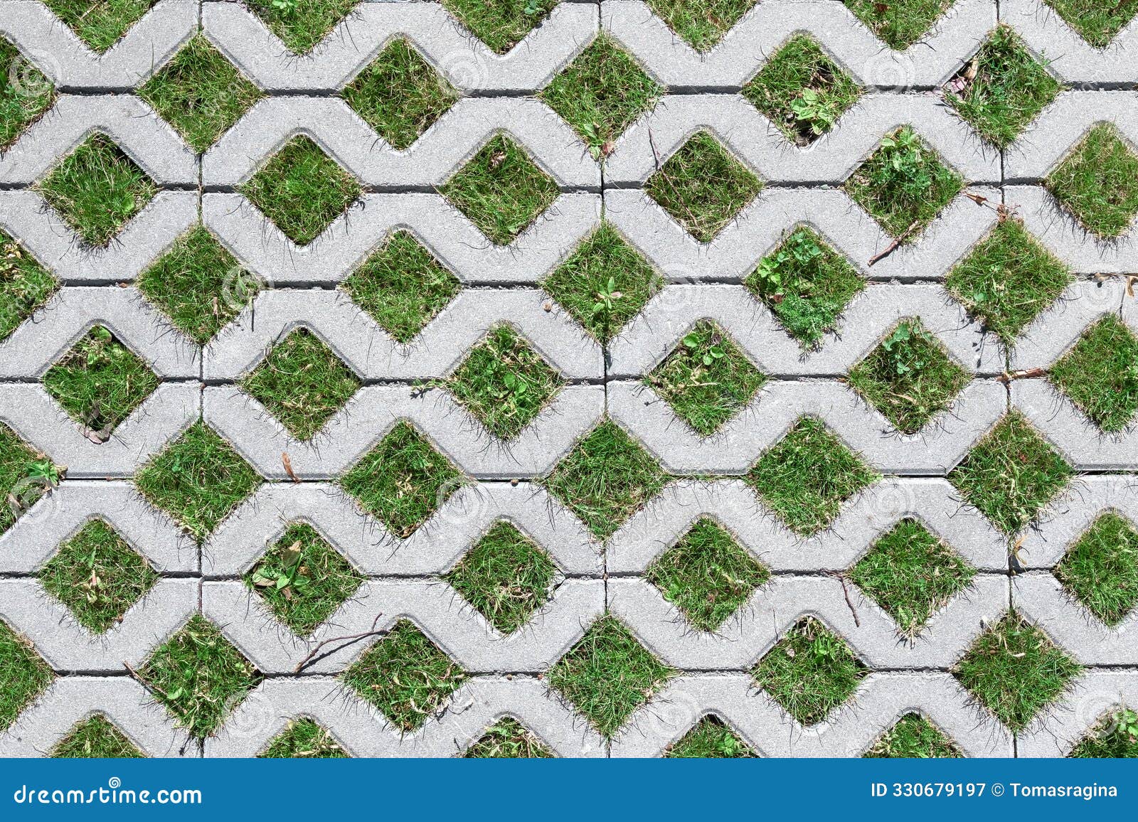 Eco-friendly Car Parking Of Concrete Cells And Turf Grass. Car On A ...
