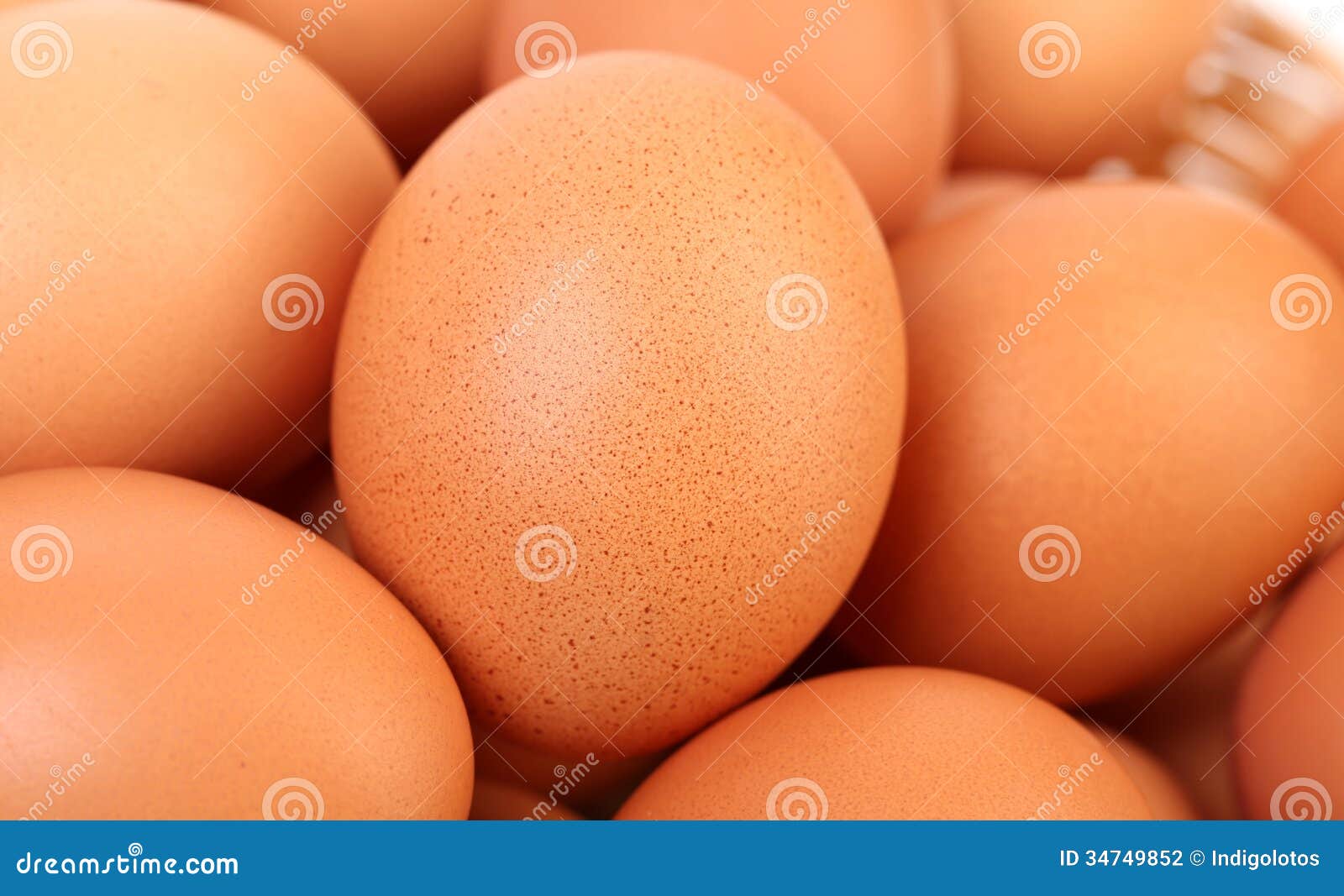 Top view of egg stock photo. Image of healthy, shell - 34749852