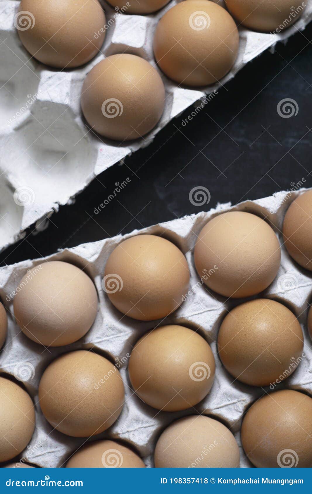 Top View. Eggs in Egg Panel at Separated and Copy Space Stock Photo ...