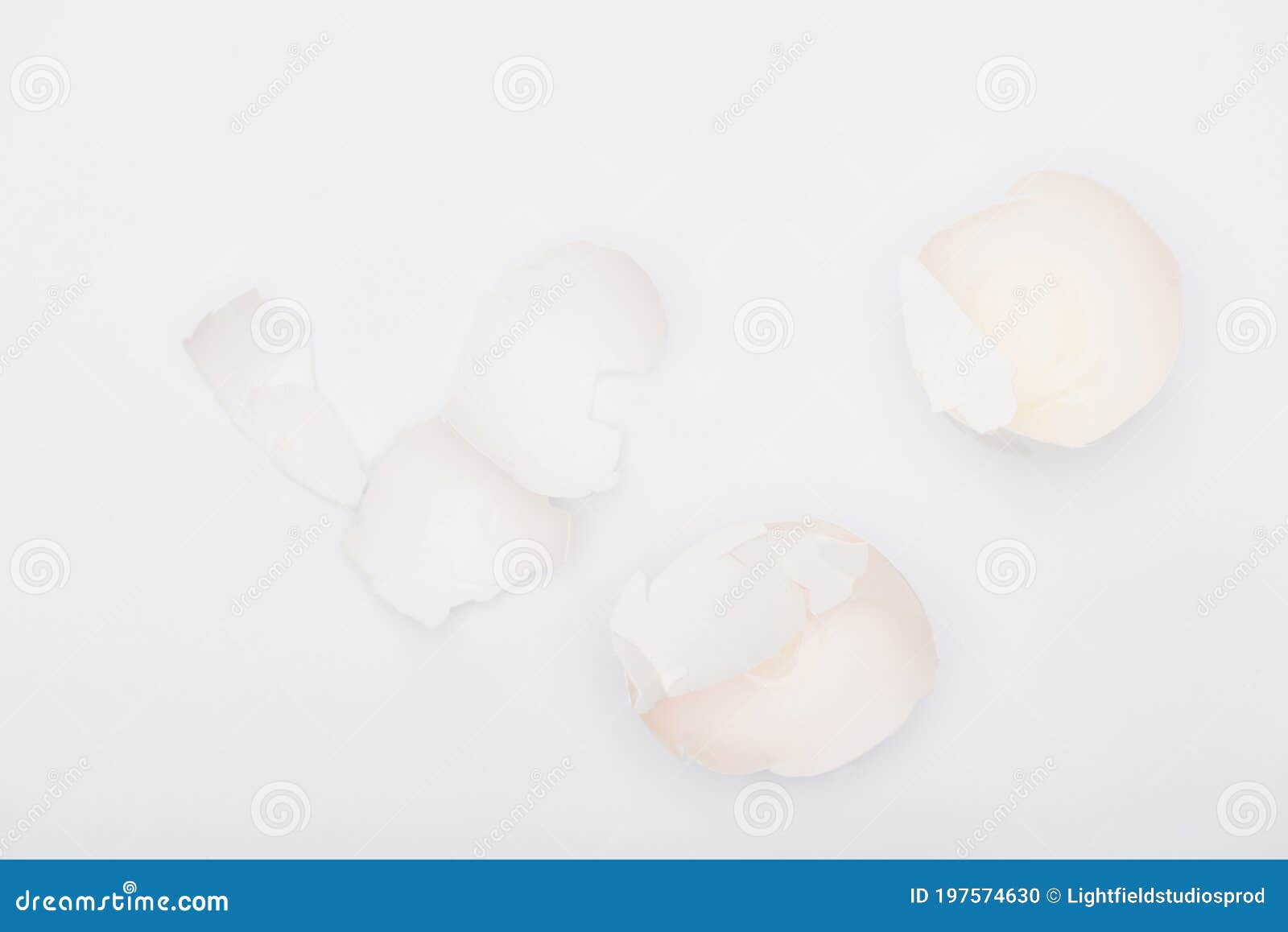 Top View of Eggshell Isolated on Stock Photo - Image of food, uncooked ...