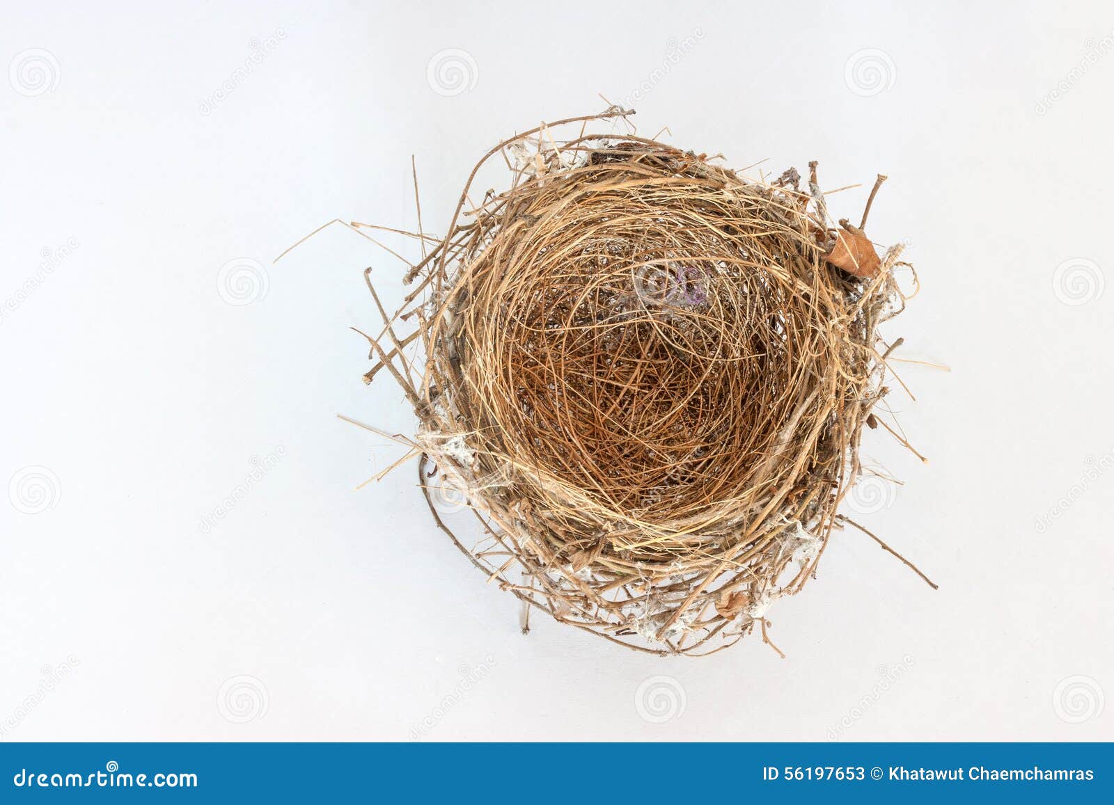 Top View of Empty Bird Nest Stock Image - Image of animal, straw: 56197653