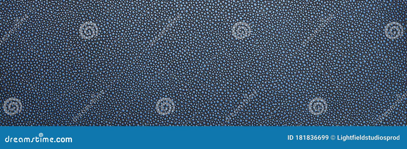 View of Empty Dotted Blue Paper Stock Image - Image of texture ...