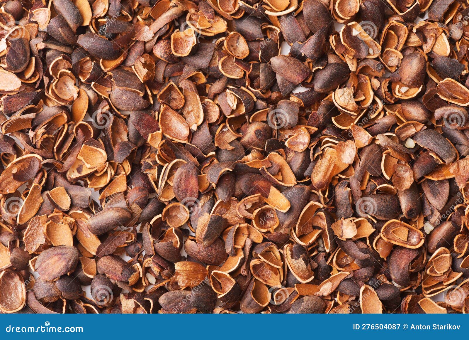 Top View of Empty Pine Nut Shells Stock Image - Image of heap, fruit ...