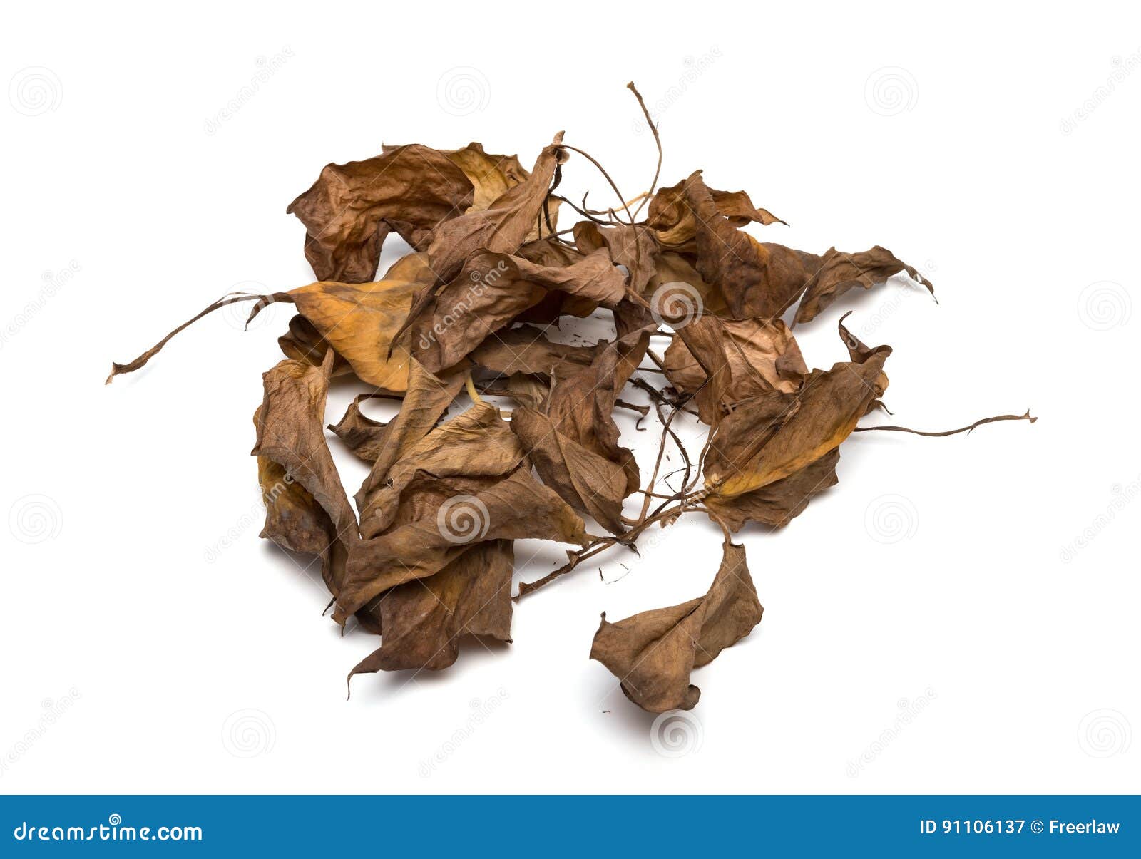 Faded Leaves Wide Natural Texture. Retro Nostalgia Autumn Vintage ...