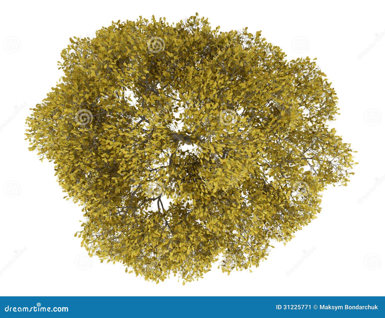Tree Top View Psd Free Download