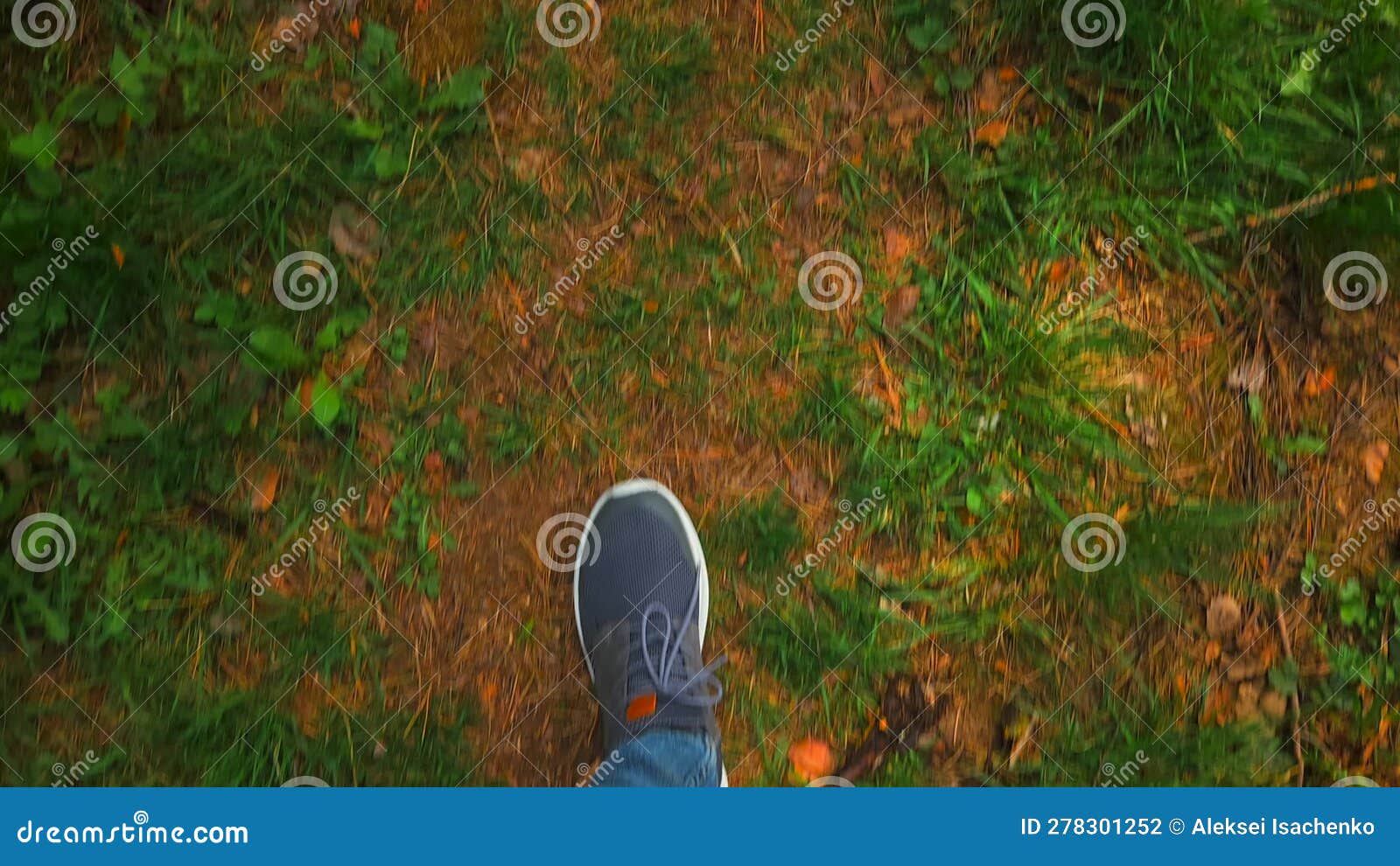 Top View of Feet Walking on Forest Path Stock Footage - Video of ...