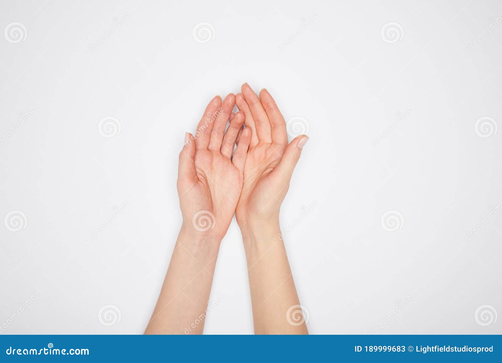 Top View of Female Open Palms Stock Image - Image of adult, isolated ...