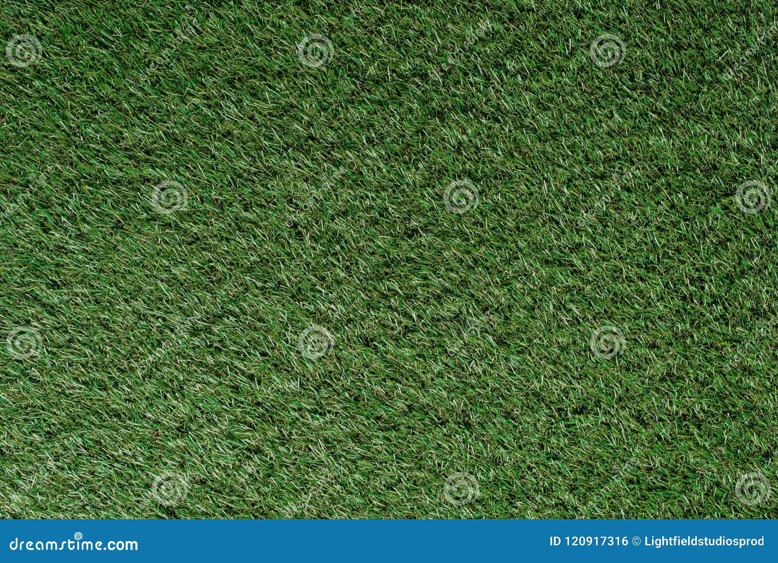 Top view of field stock photo. Image of agriculture - 120917316