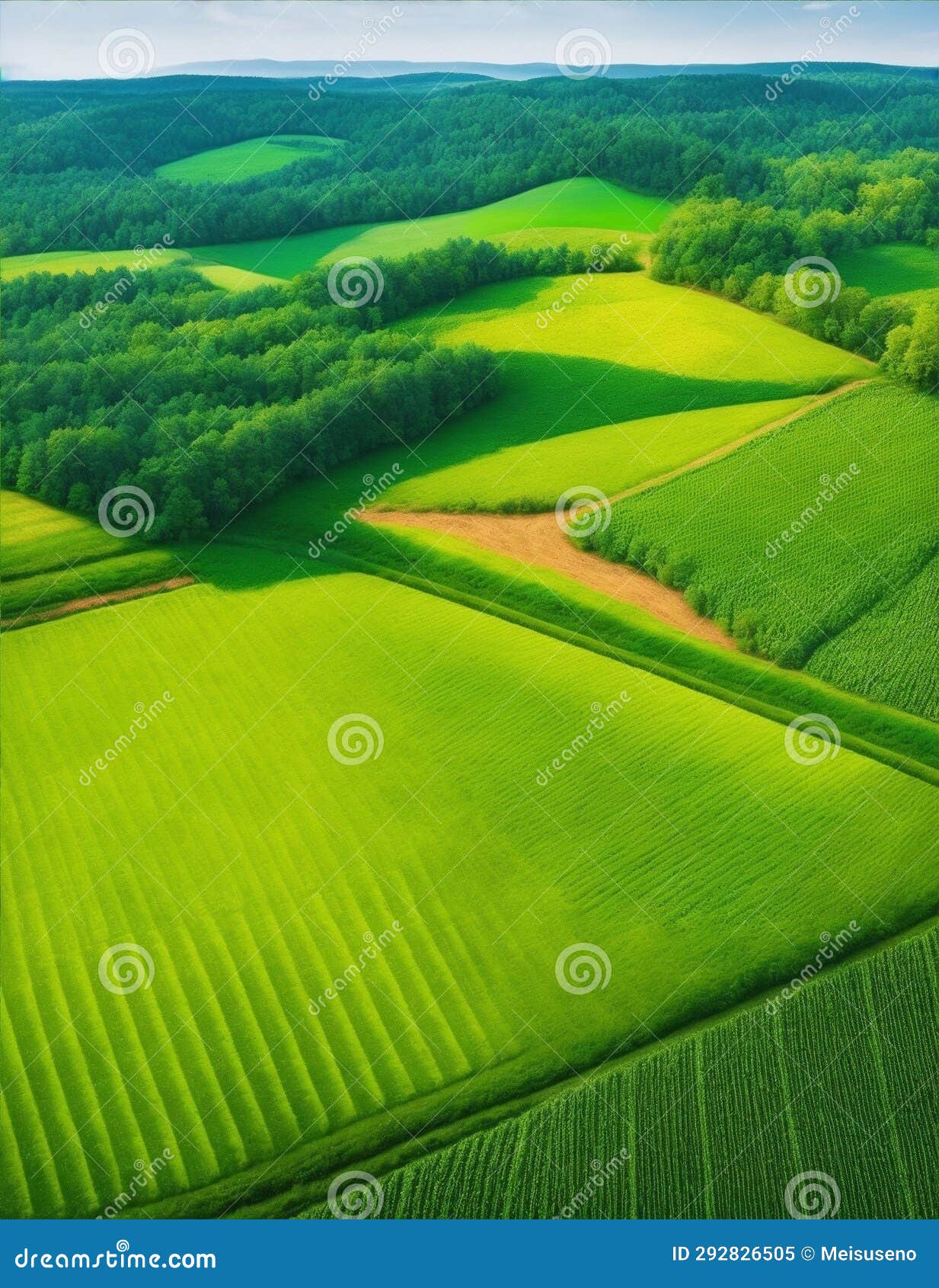 Top View of Fields and Forests Illustration Stock Illustration ...