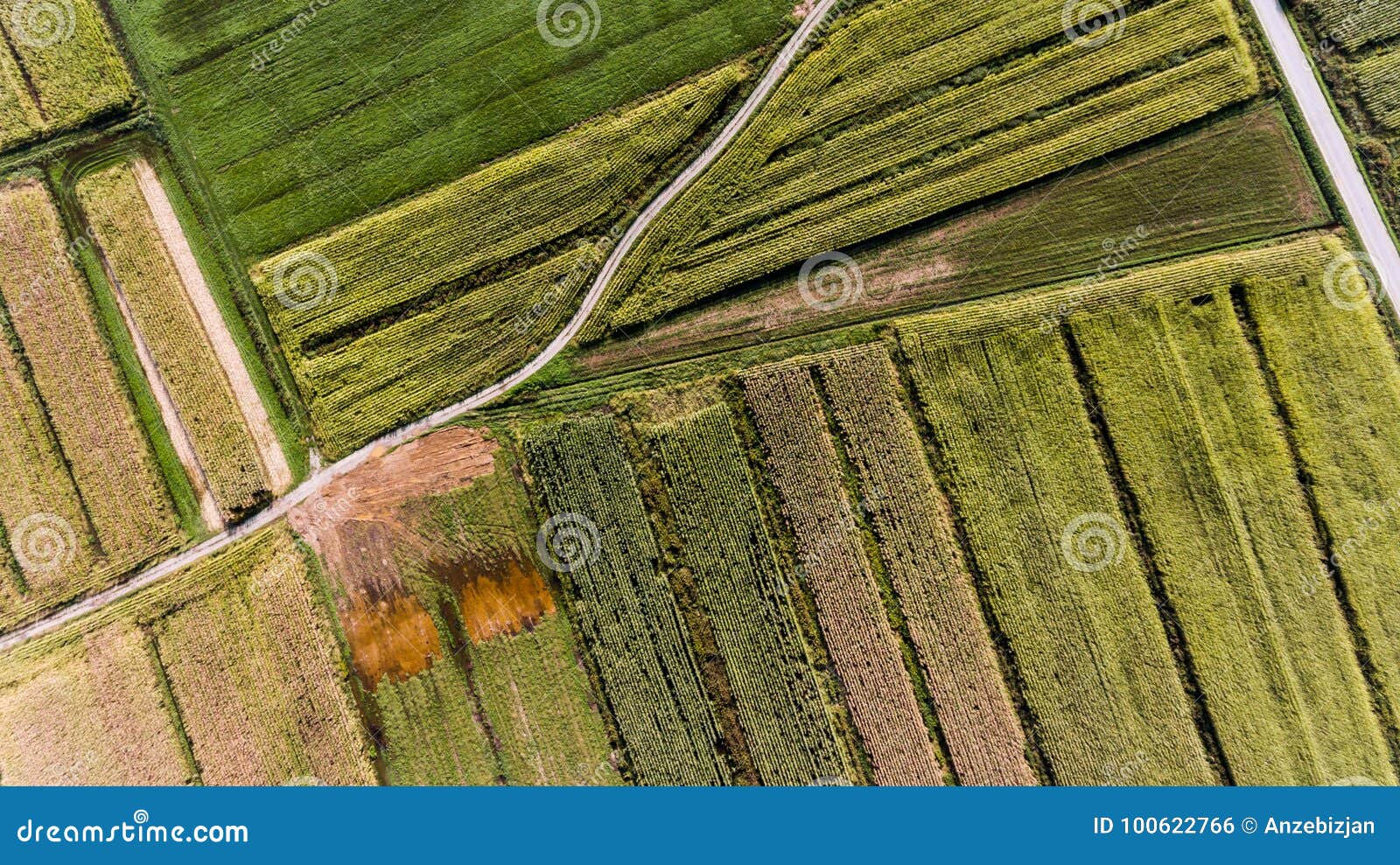 Top view of fields. stock photo. Image of ljubljanica - 100622766