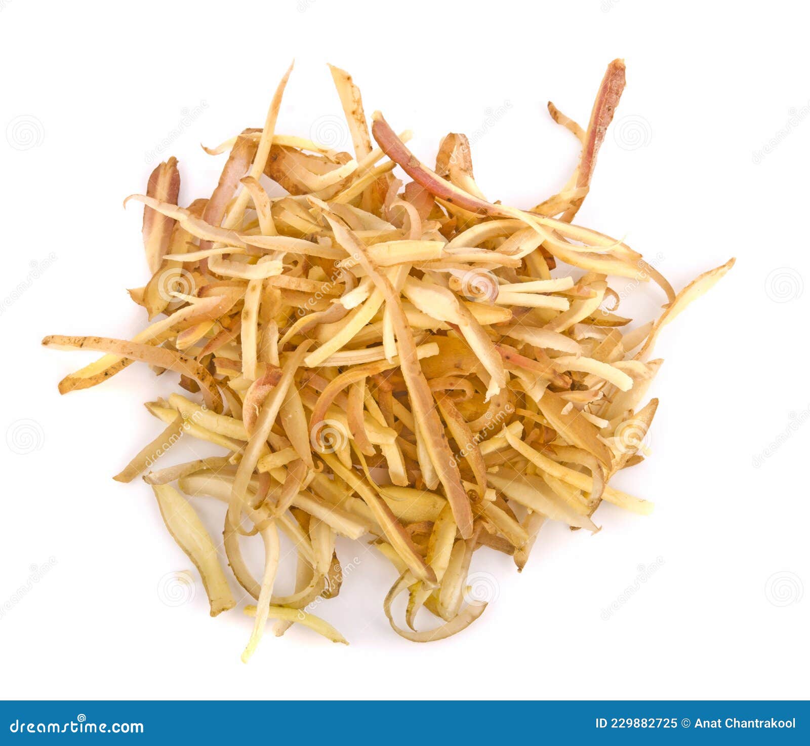 Top View of Finger Root Krachai Thai Herb on White Background Stock ...