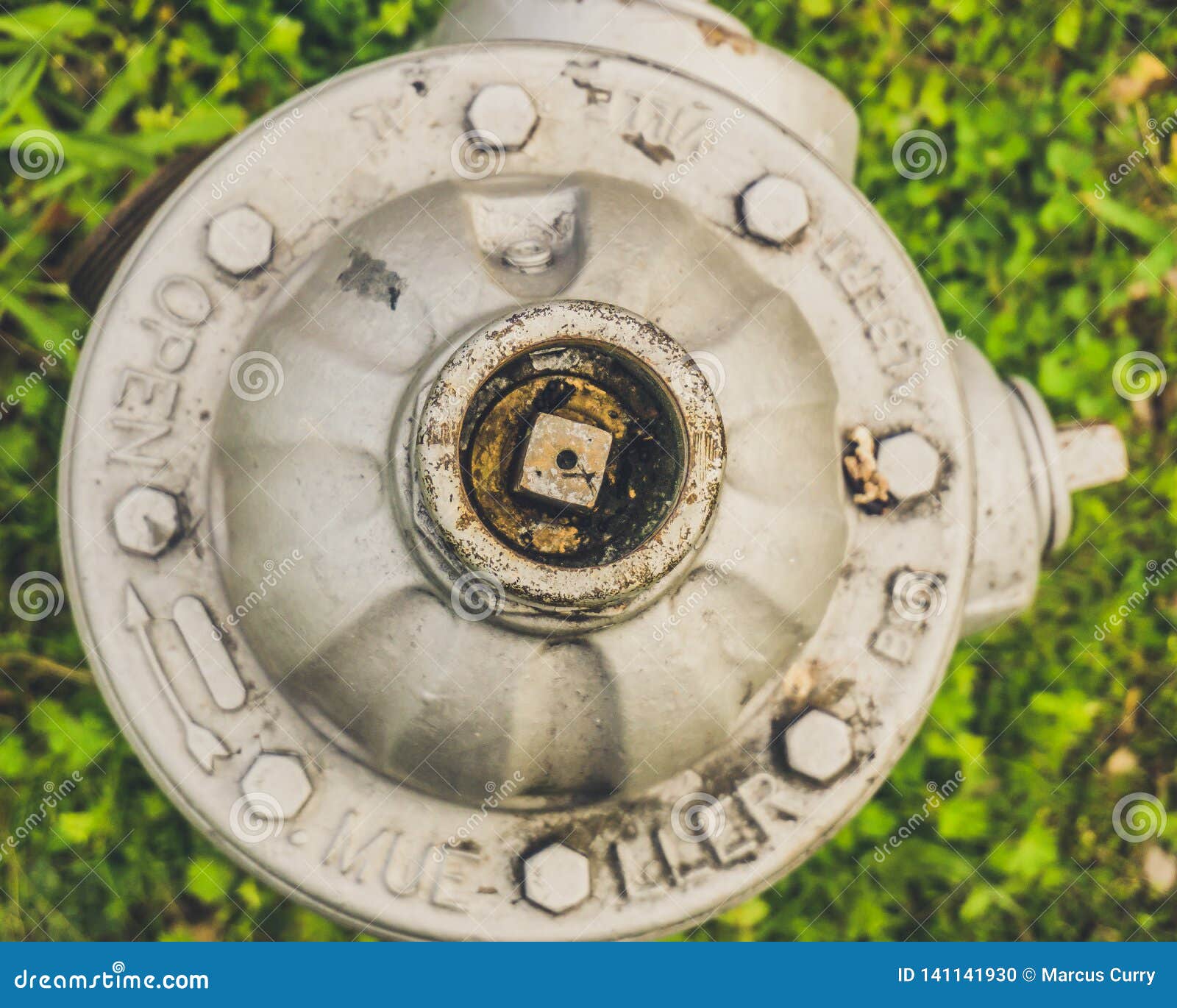 Top View of Fire Hydrant stock photo. Image of field - 141141930