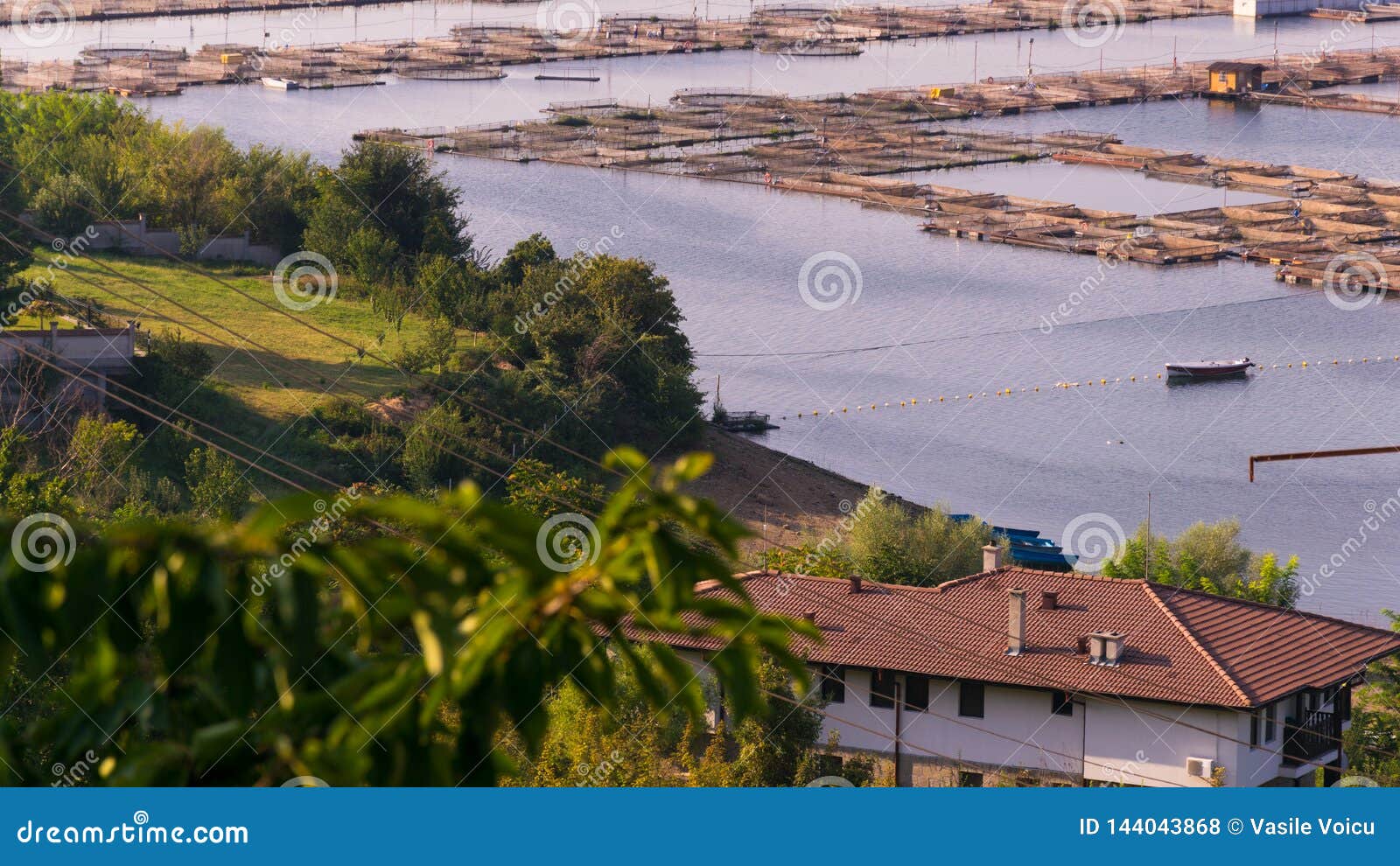 Top View of a Fish Farm, Home and Greenery and Blue Light Stock Photo ...