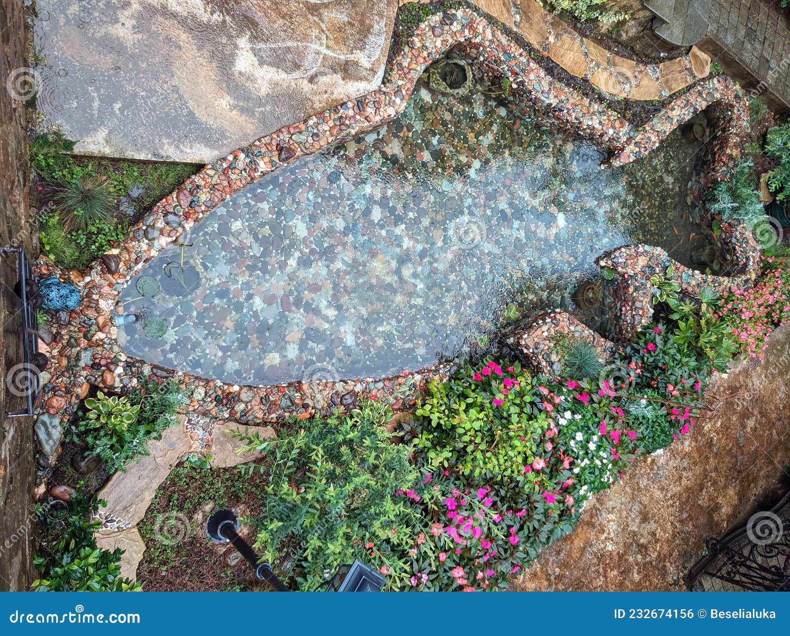 Top View of a Fish Shape Pool Stock Photo - Image of nature, park ...