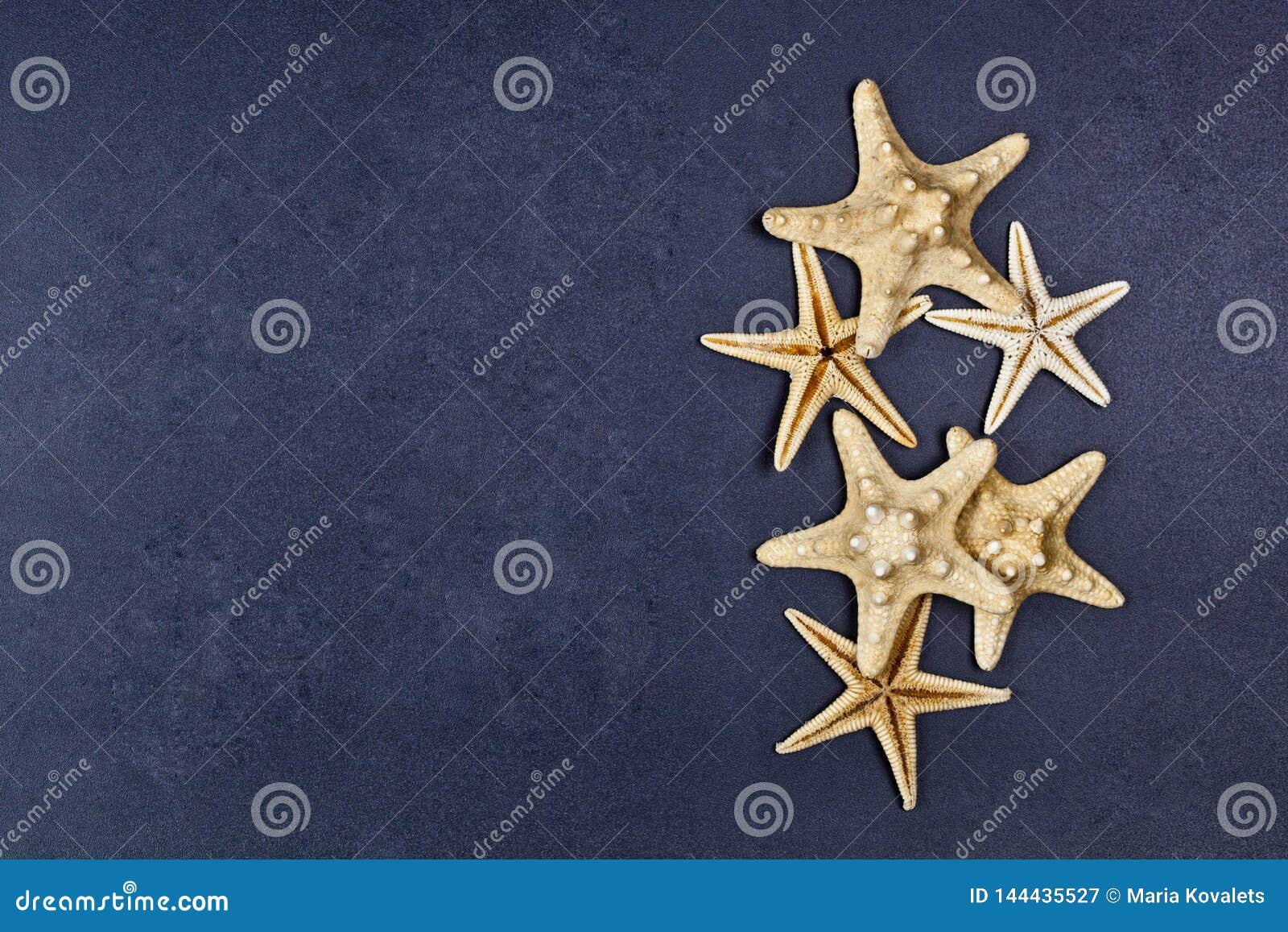 Top View of Five Starfish on Black Background Stock Image - Image of ...