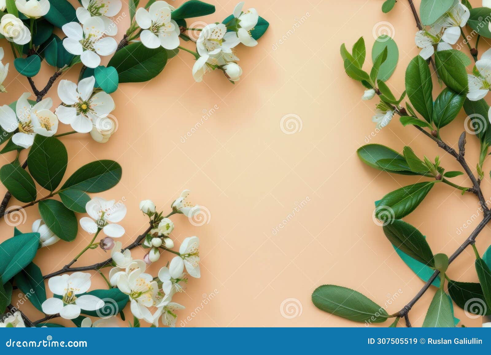 Top View of Flowering Apple Branches on Beige Background Stock ...