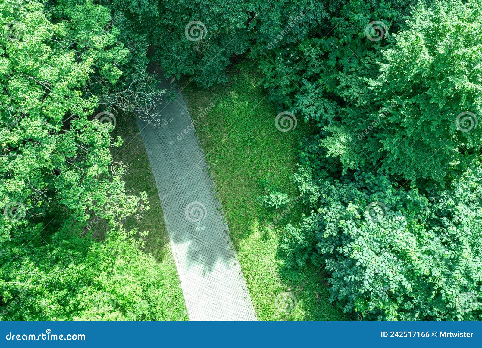 Footpath through the Trees in Summer Park. Aerial Drone Photo Looking ...