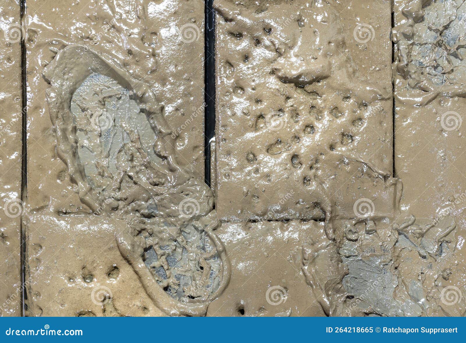 Top View Footprints on Mud Field Stock Image - Image of copy, hard ...