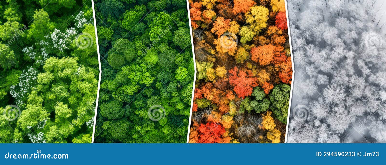 Top View of Forest in Four Seasons - Arrow Banner Collage Stock ...