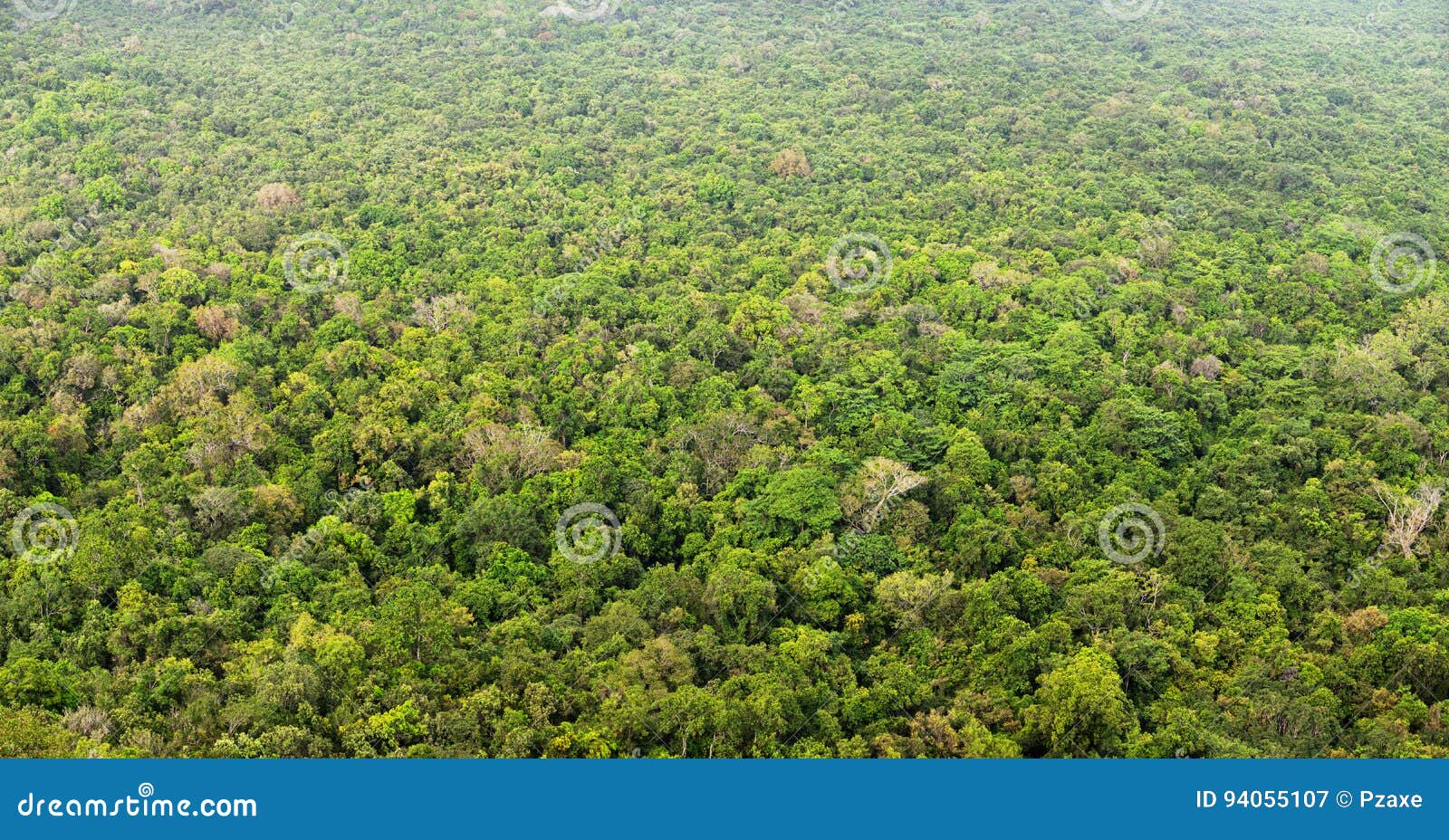Top view of forest stock image. Image of hills, beautiful - 94055107