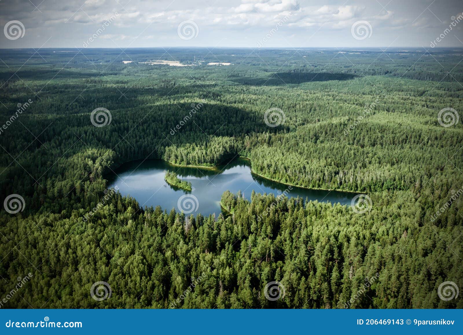 Top view of a forest lake stock image. Image of road - 206469143