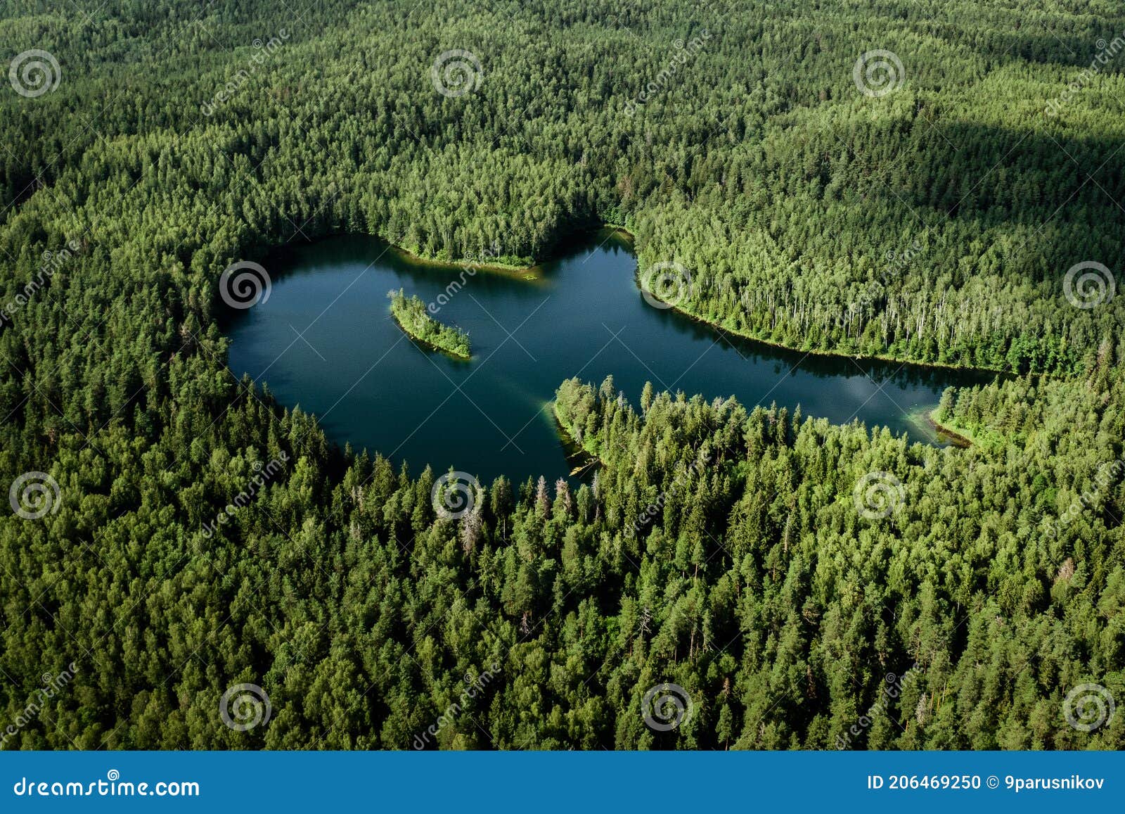 Top view of a forest lake stock photo. Image of tree - 206469250